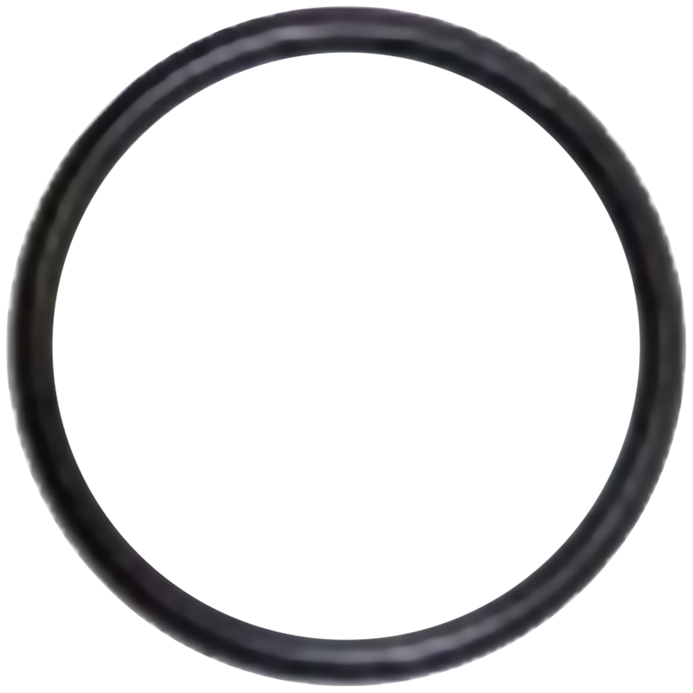 Pratt Black Washer For Stanchion Joint Suits All Elite Showers (570024 ...